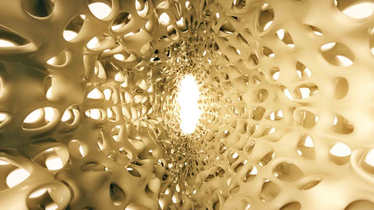 Flow perfusion bioreactor and applications in tissue engineering